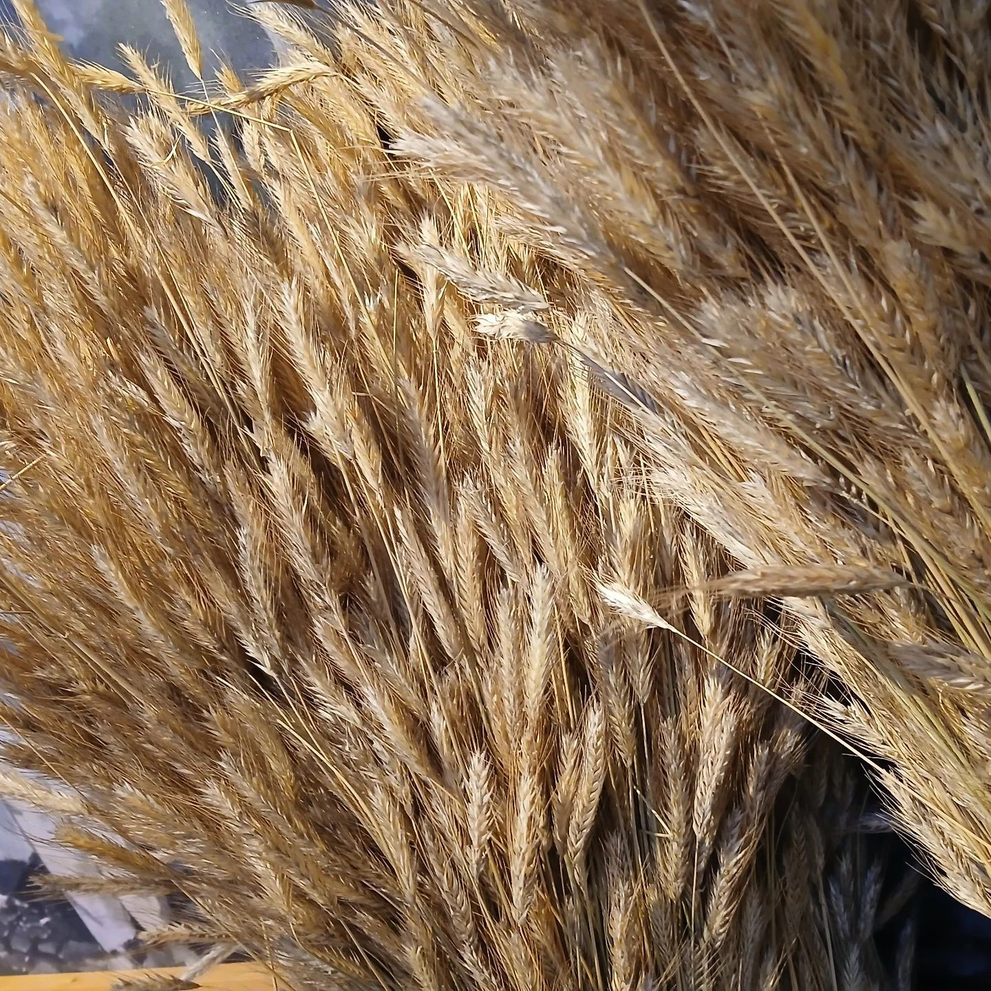 Grundkurs i halm fortsättningskurs - Halmens Hus